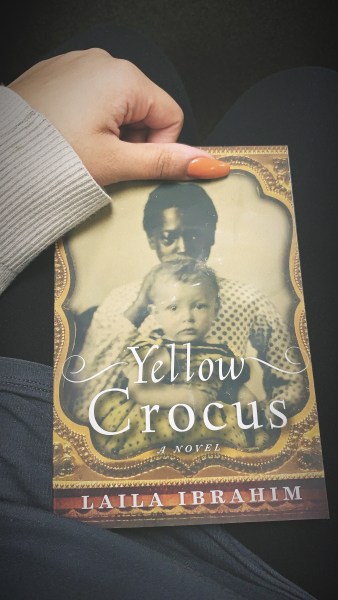 Yellow Crocus by Laila Ibrahim – Books & Roots