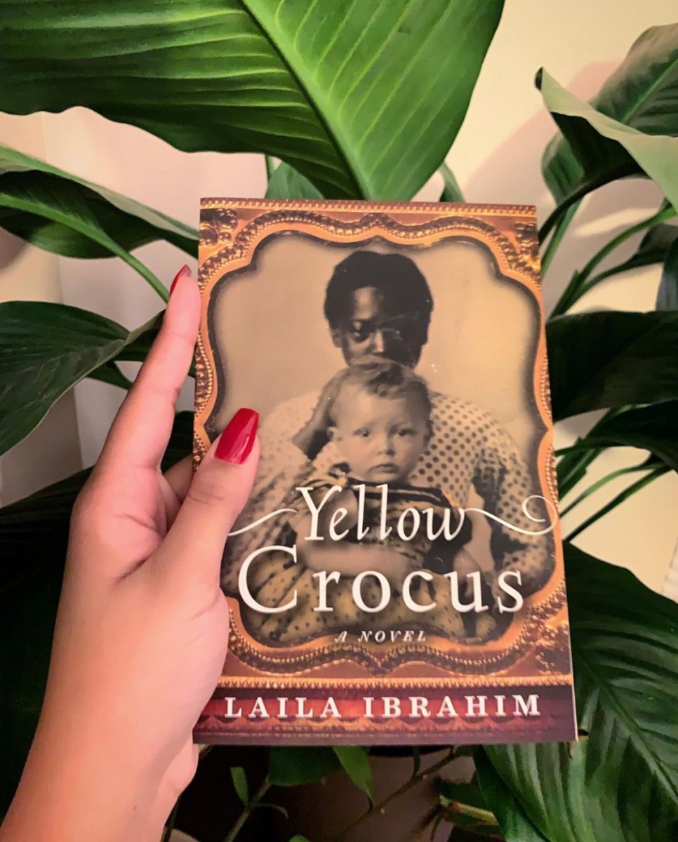 Yellow Crocus by Laila Ibrahim – Books & Roots